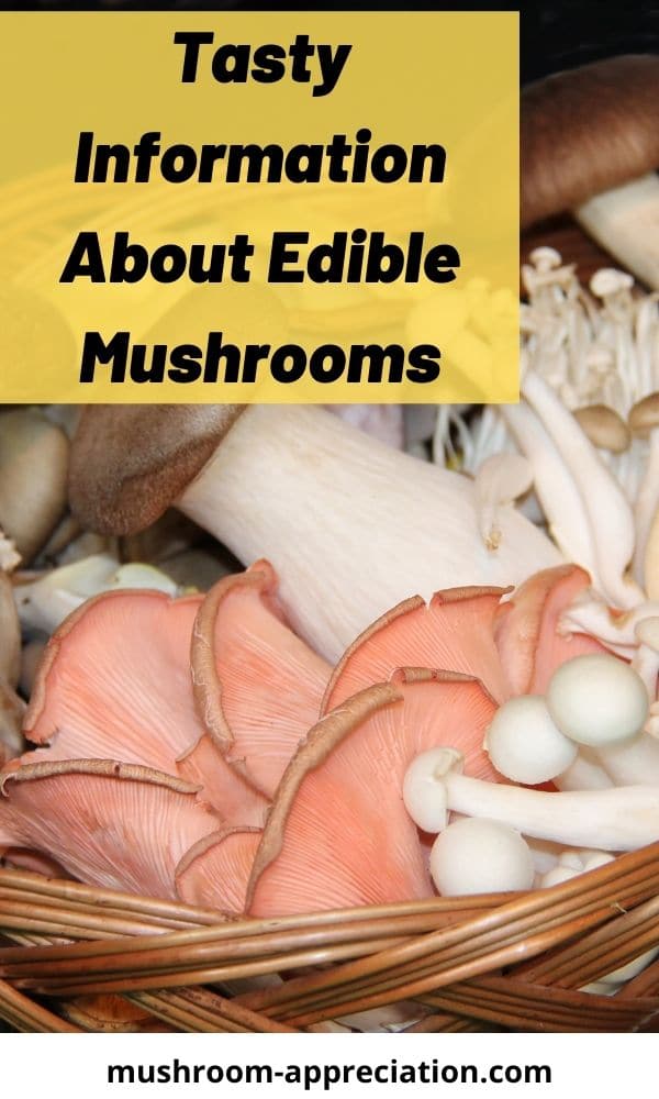 Tasty Information About Edible Mushrooms - Mushroom Appreciation