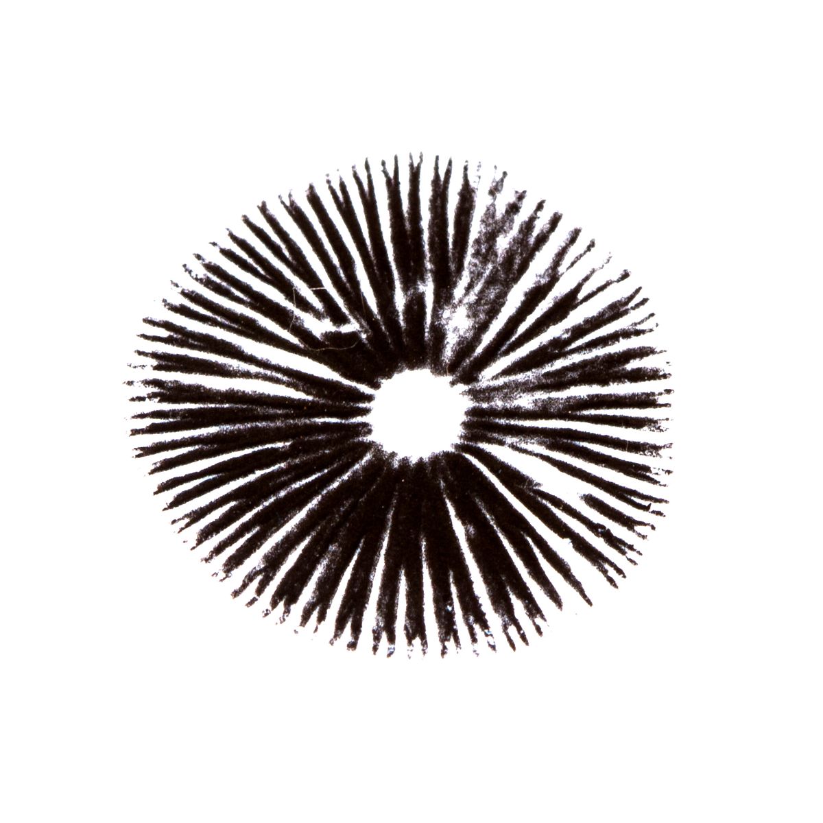 How to Make and Use Mushroom Spore Prints - Mushroom Appreciation