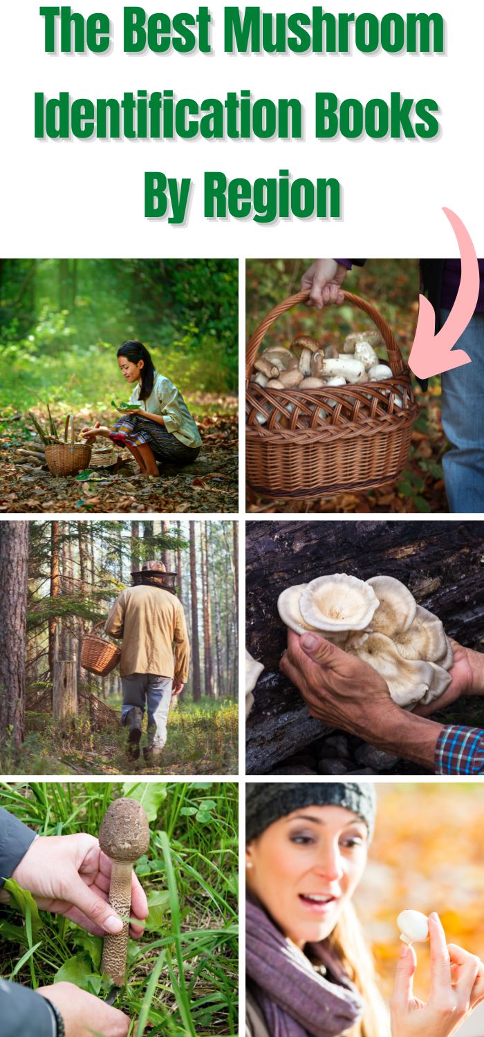 The Best Mushroom Identification Books By Region - Mushroom Appreciation