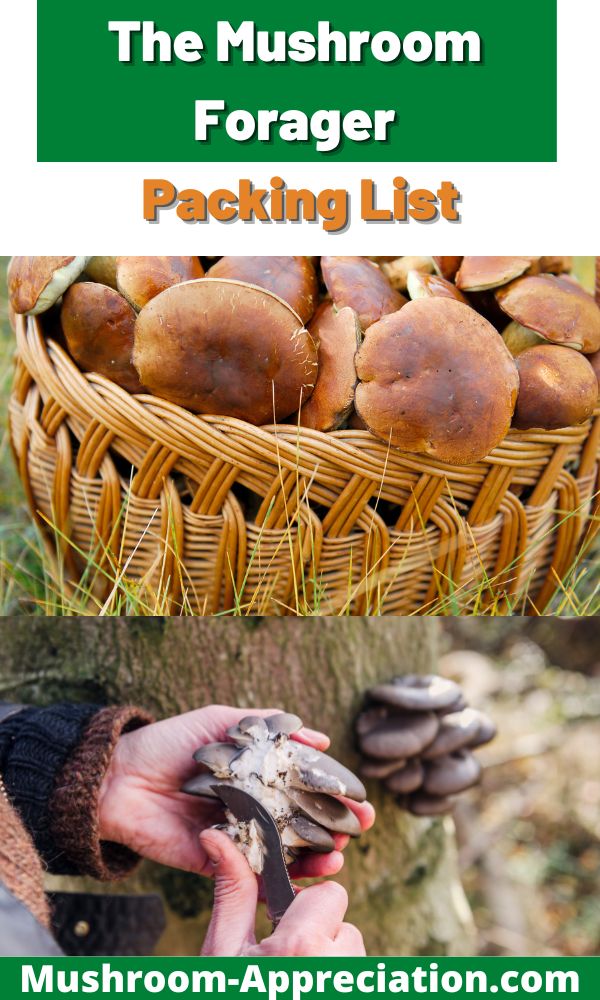 The Mushroom Forager Packing List - Mushroom Appreciation