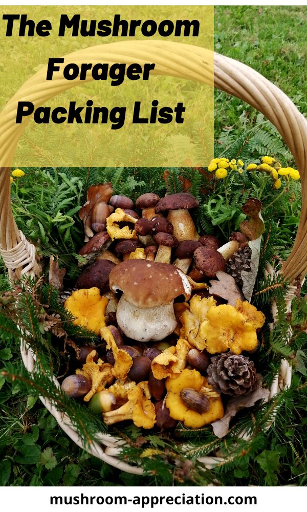 The Mushroom Forager Packing List - Mushroom Appreciation