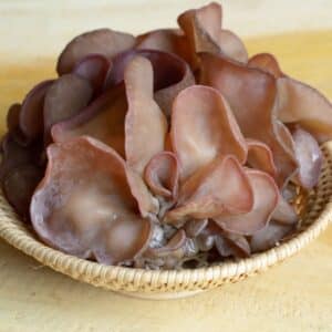 Wood Ear Mushrooms: Identification, Foraging, and Lookalikes - Mushroom ...