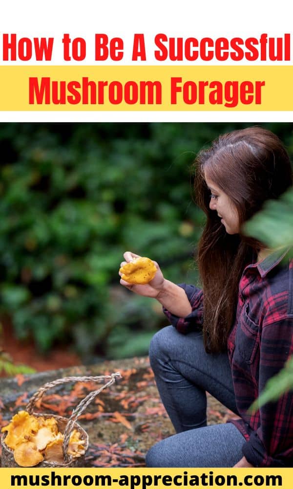 How to Be A Successful Mushroom Forager - Mushroom Appreciation