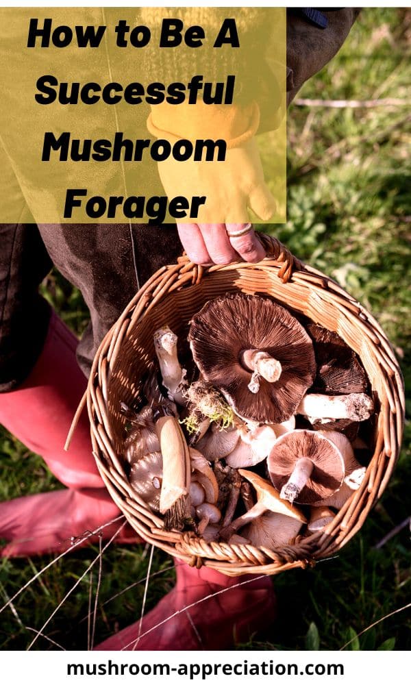How to Be A Successful Mushroom Forager - Mushroom Appreciation