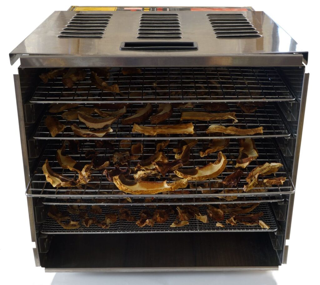 How To Create A Home Fungi Herbarium - Mushroom Appreciation