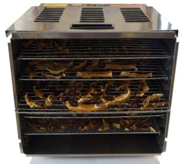 How To Create A Home Fungi Herbarium - Mushroom Appreciation