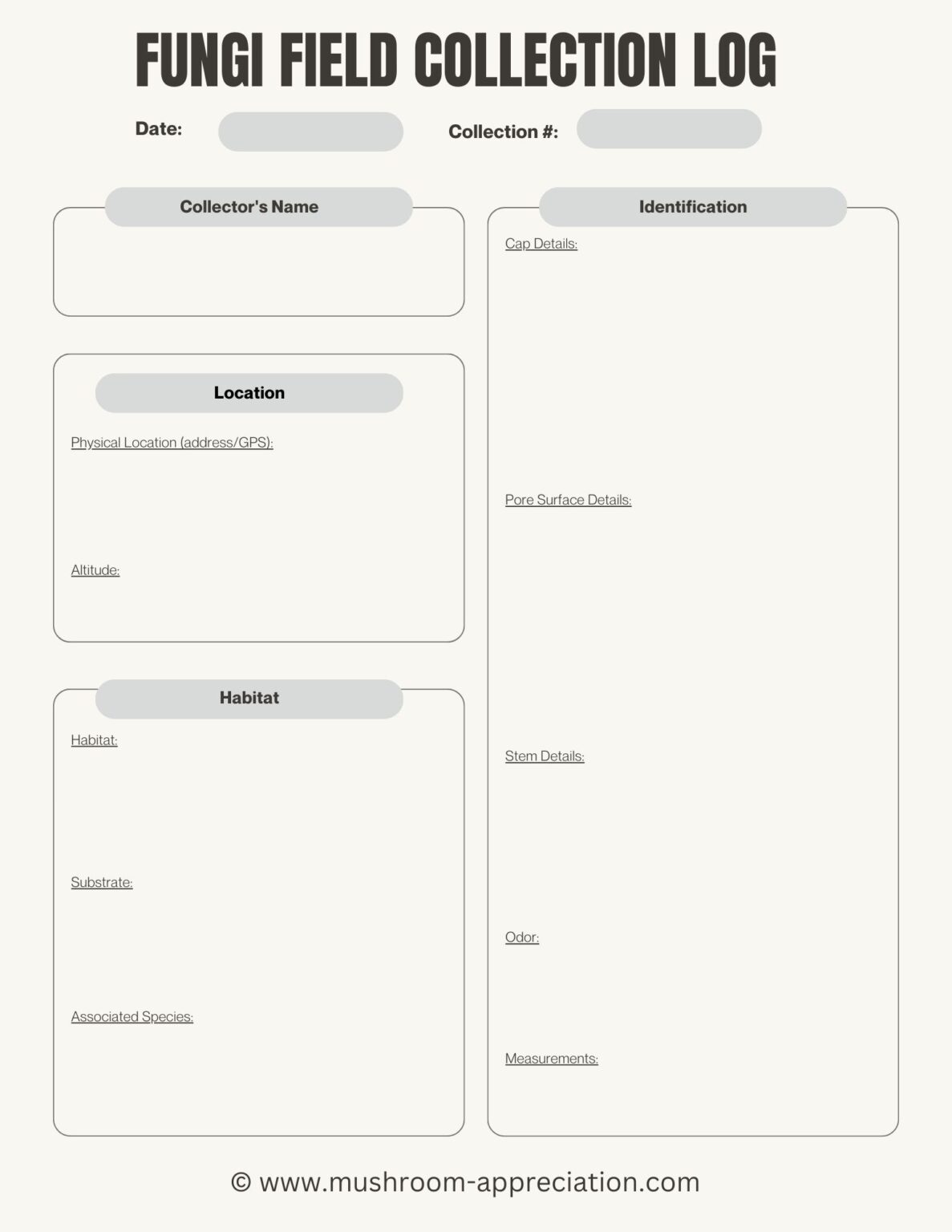 How To Create A Home Fungi Herbarium - Mushroom Appreciation