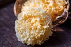 Snow Fungus: Identification, Foraging, and Cooking Guide - Mushroom ...