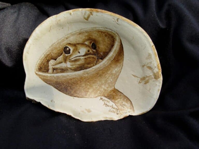 Artist's Conk Fungus: Habitat, Identification, and History - Mushroom ...