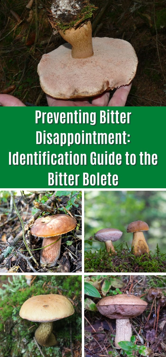 Preventing Bitter Disappointment: Identification Guide to the Bitter ...