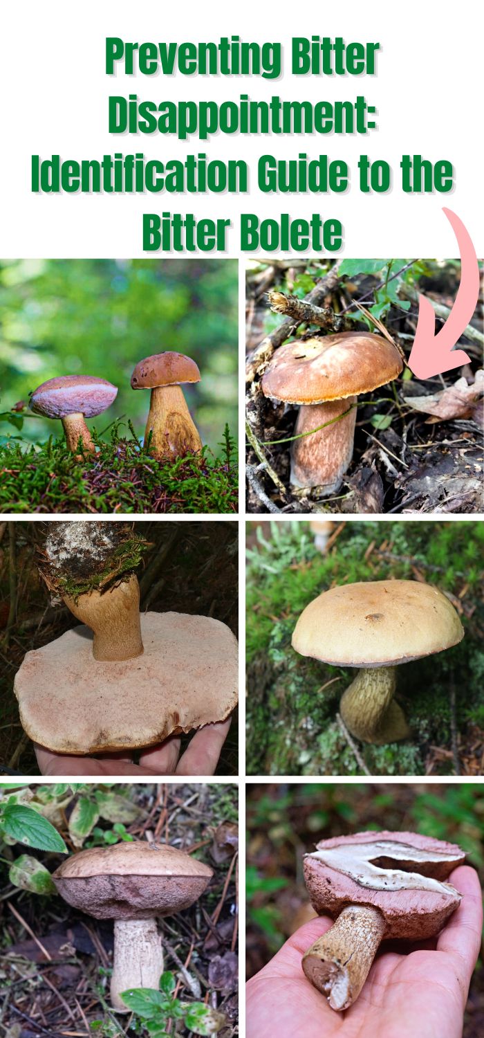 Preventing Bitter Disappointment: Identification Guide to the Bitter ...