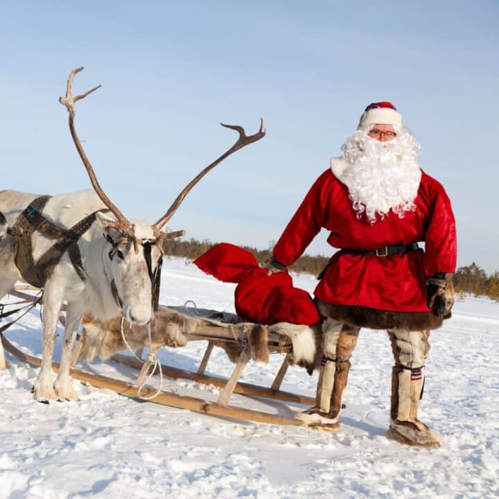 Fly Agaric: The Mushroom, The Myth, The Facts - Mushroom Appreciation
