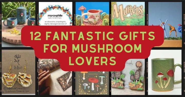 12 Fantastic Mushroom Gifts - Mushroom Appreciation