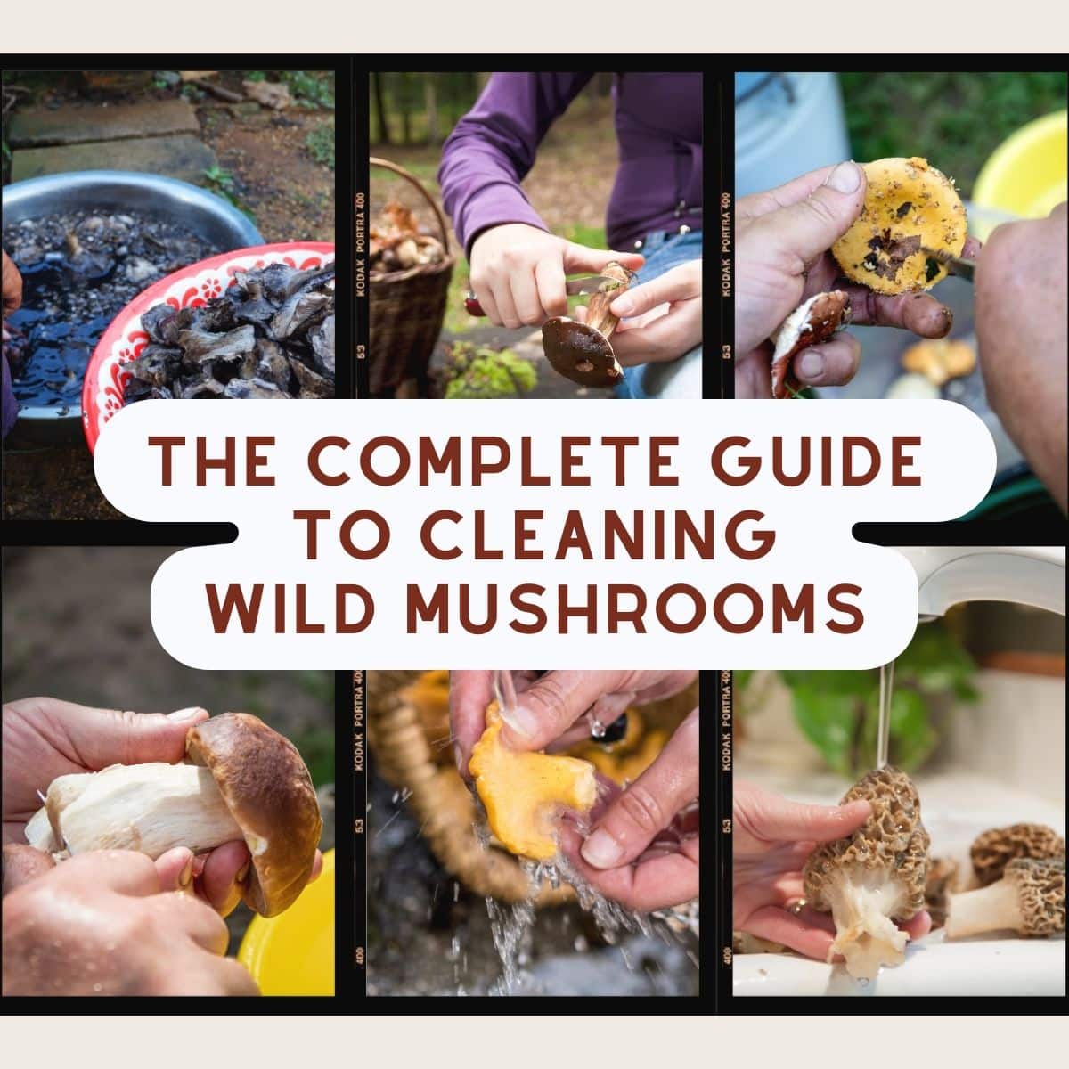 Growing Morel Mushrooms: 3 Popular Techniques - Mushroom Appreciation