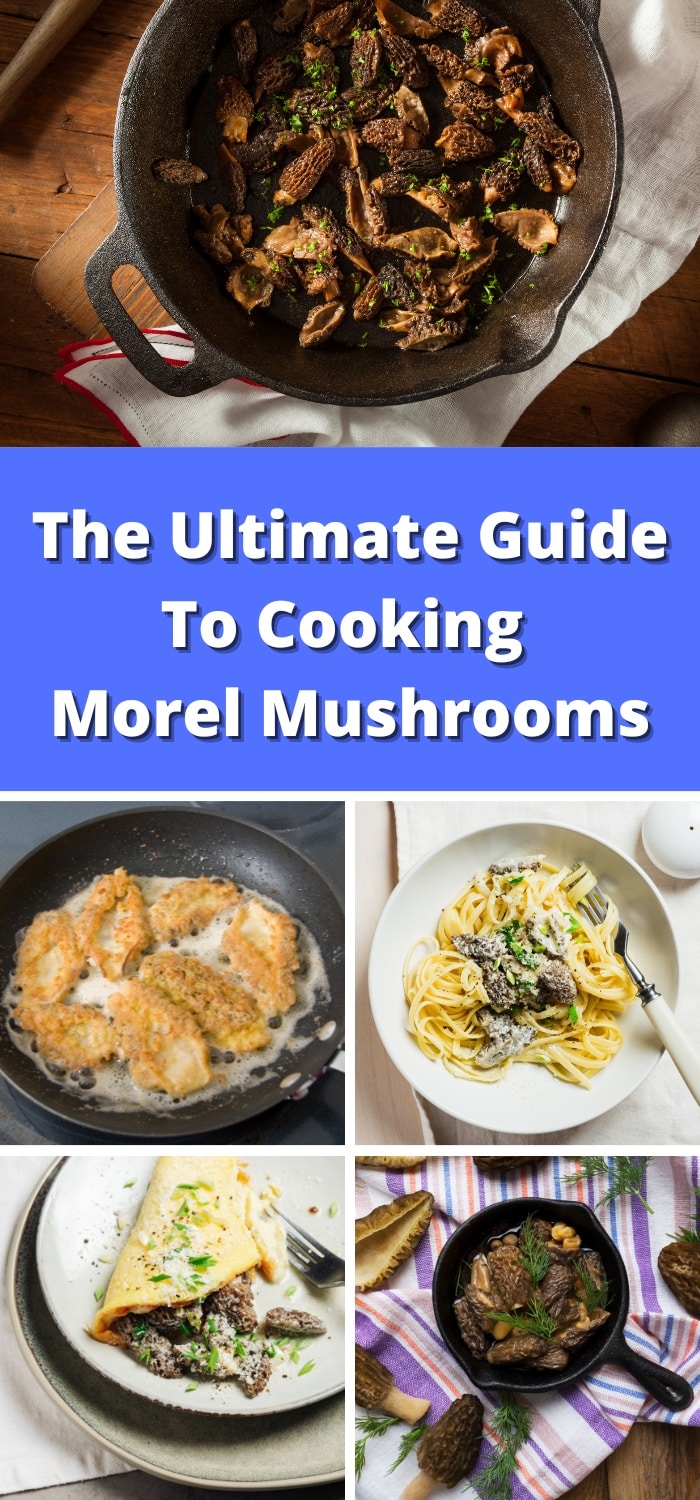 The Ultimate Guide To Cooking Morel Mushrooms - Mushroom Appreciation