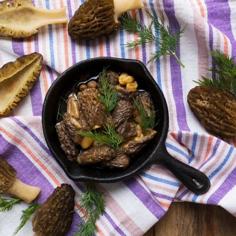 The Ultimate Guide To Cooking Morel Mushrooms - Mushroom Appreciation