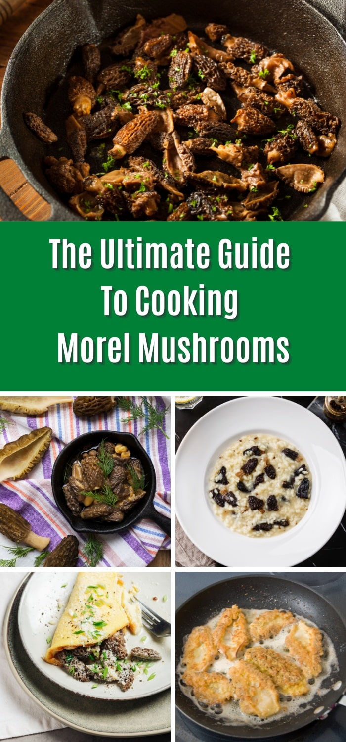 The Ultimate Guide To Cooking Morel Mushrooms - Mushroom Appreciation