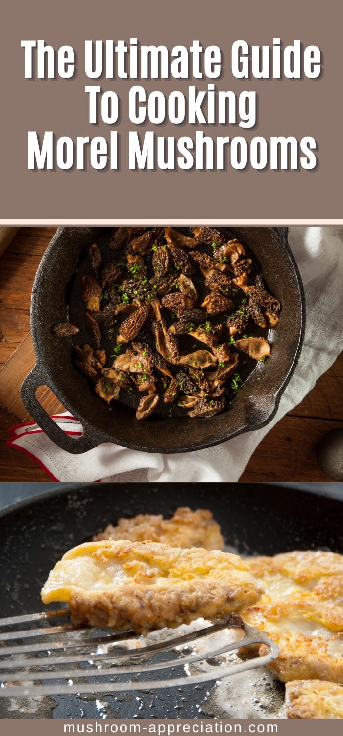 The Ultimate Guide To Cooking Morel Mushrooms - Mushroom Appreciation