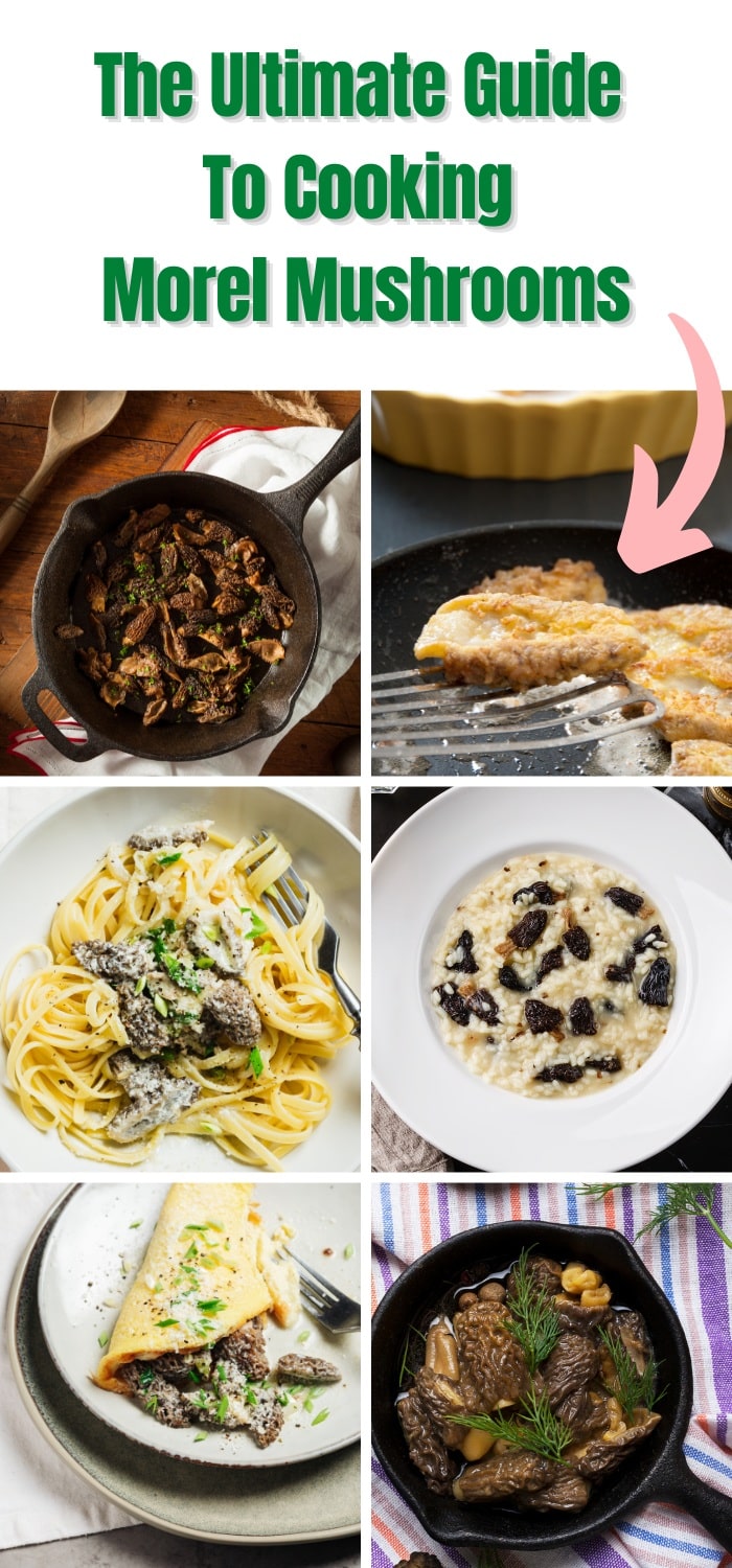 The Ultimate Guide To Cooking Morel Mushrooms - Mushroom Appreciation