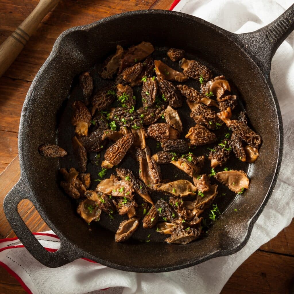 The Ultimate Guide To Cooking Morel Mushrooms - Mushroom Appreciation