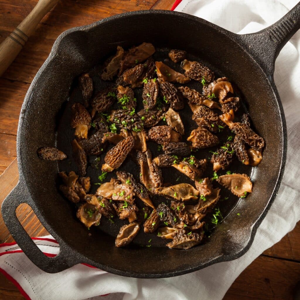 Morel Mushroom Identification: What to Look For and What to Avoid ...