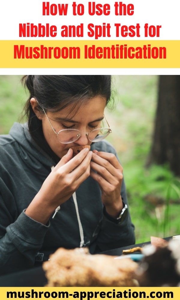 How to Use the Nibble and Spit Test for Mushroom Identification ...