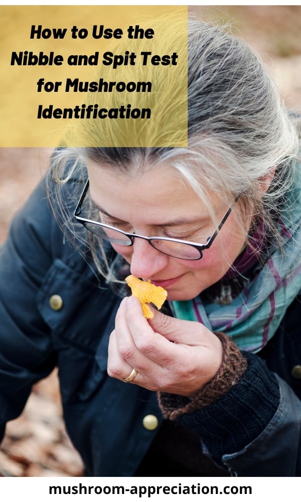 How to Use the Nibble and Spit Test for Mushroom Identification ...