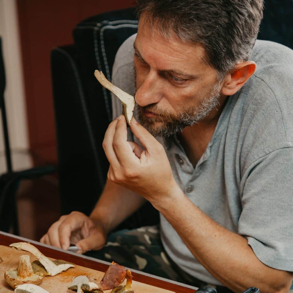 How to Use the Nibble and Spit Test for Mushroom Identification ...