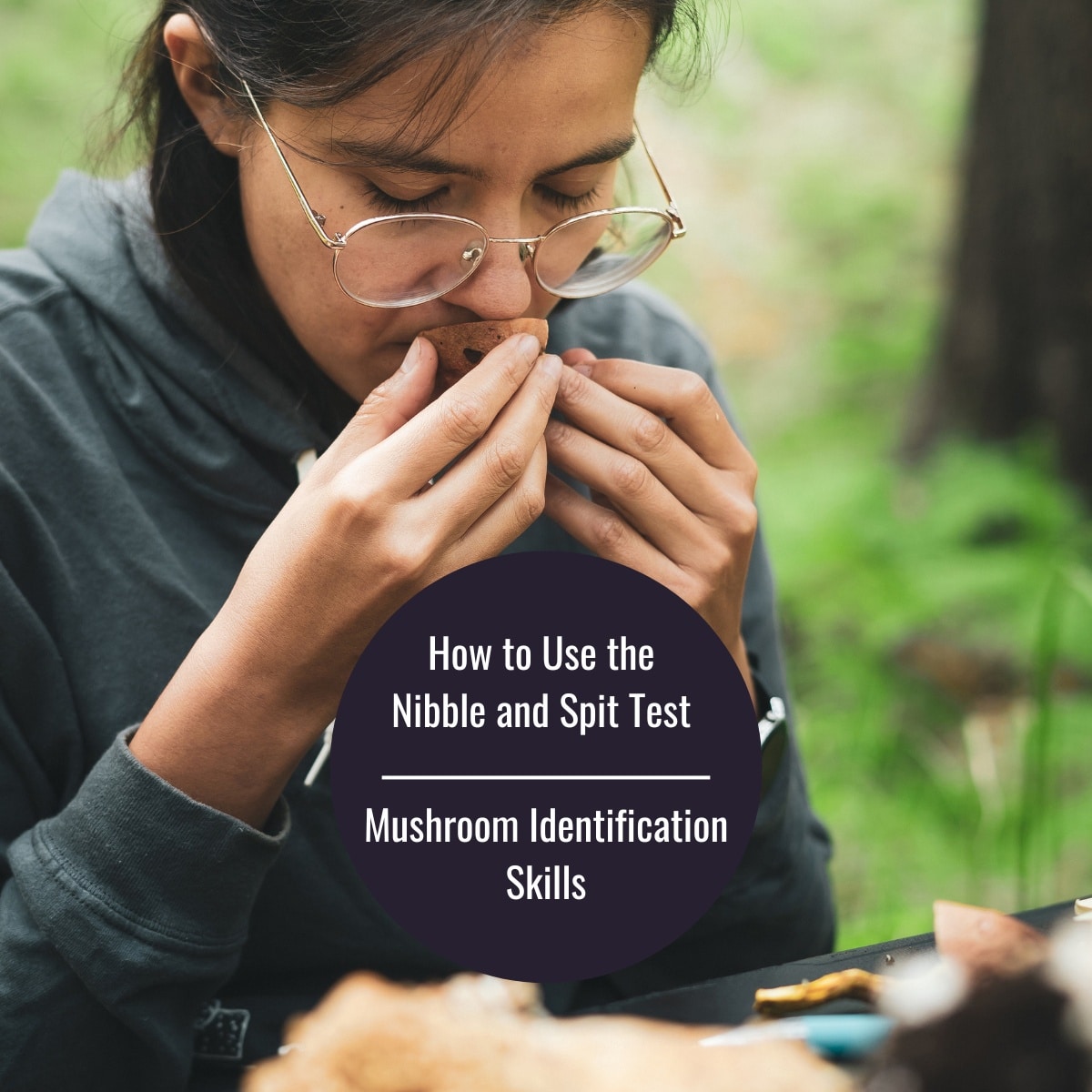 Stinkhorn Fungi of North America; An Introduction - Mushroom Appreciation