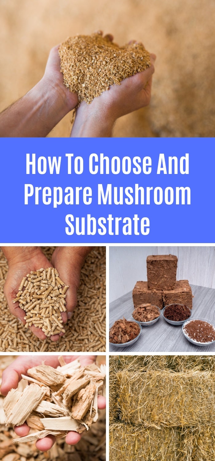 How To Choose And Prepare Mushroom Substrate - Mushroom Appreciation