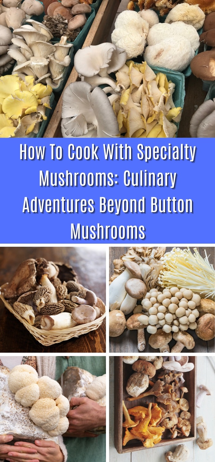 How To Cook With Specialty Mushrooms: Culinary Adventures Beyond Button ...