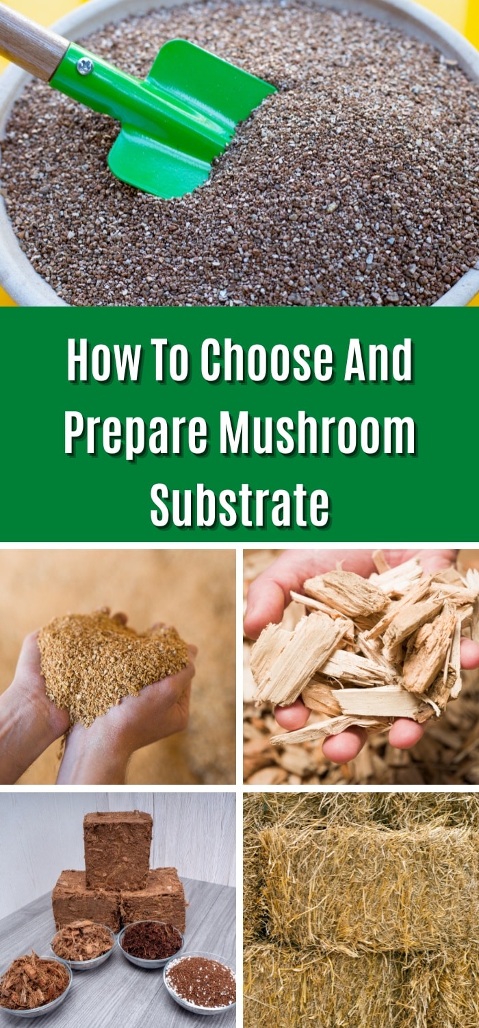 How To Choose And Prepare Mushroom Substrate - Mushroom Appreciation