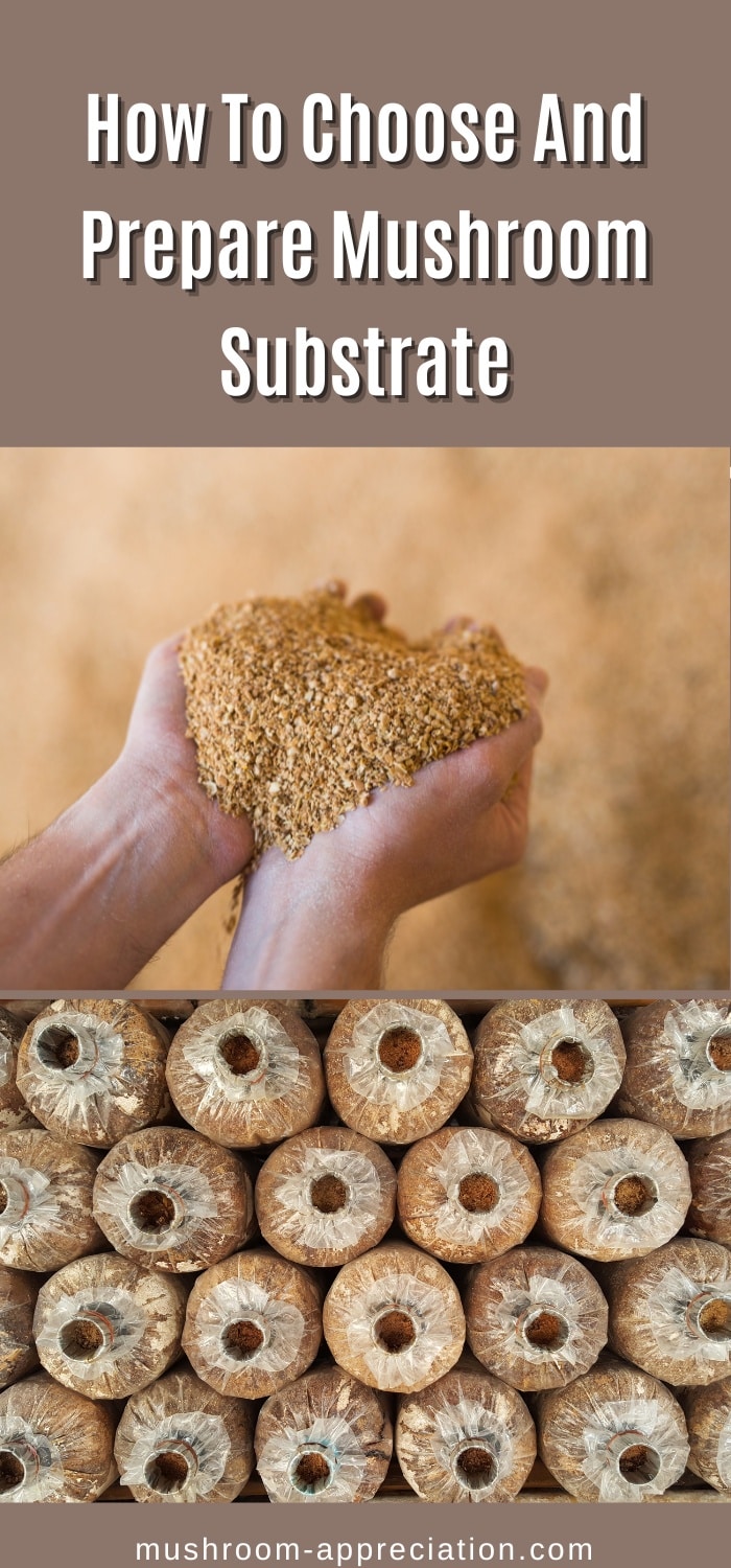 How To Choose And Prepare Mushroom Substrate - Mushroom Appreciation