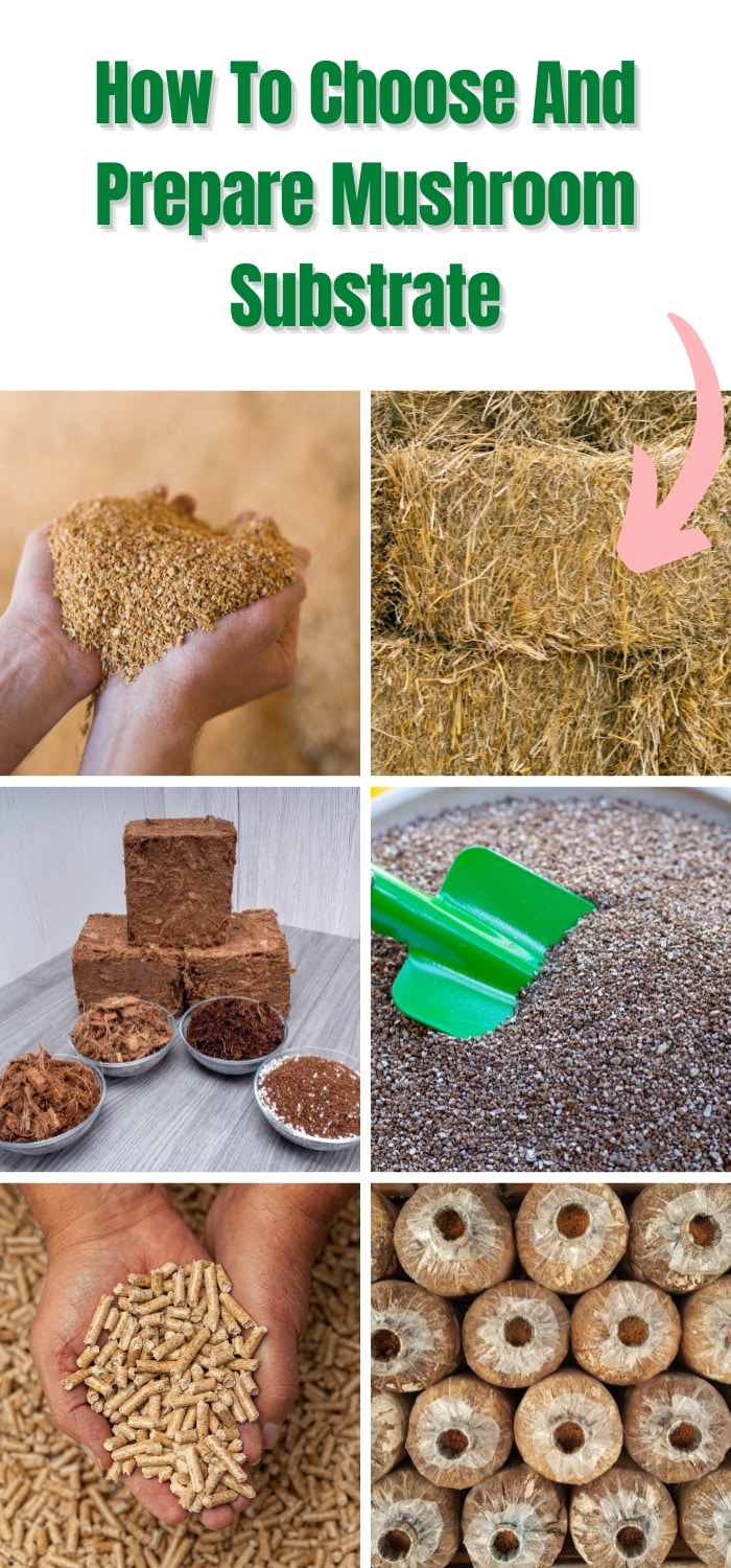 How To Choose And Prepare Mushroom Substrate - Mushroom Appreciation