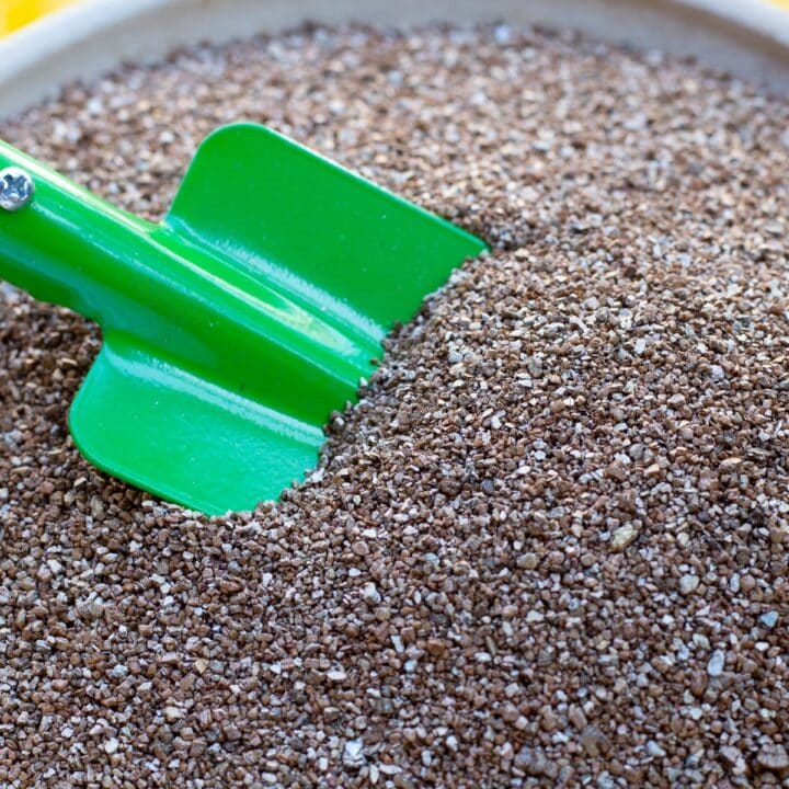 How To Choose And Prepare Mushroom Substrate - Mushroom Appreciation