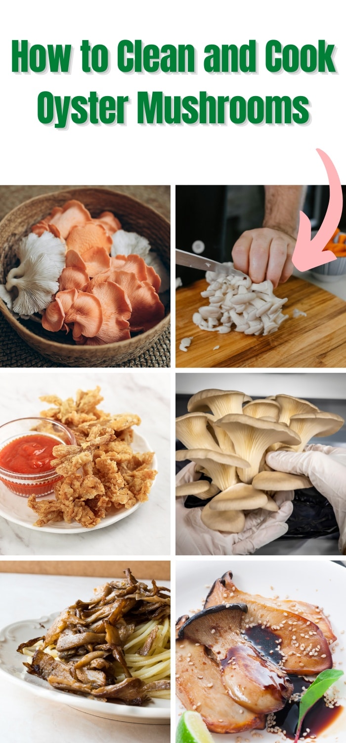 How to Clean and Cook Oyster Mushrooms: Complete Oyster Mushroom ...