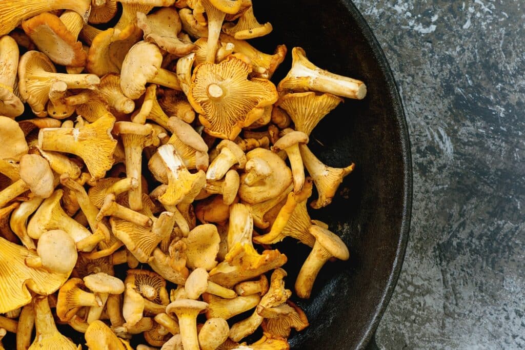 How to Prepare Chanterelle Mushrooms: Cleaning, Prepping, and Cooking ...