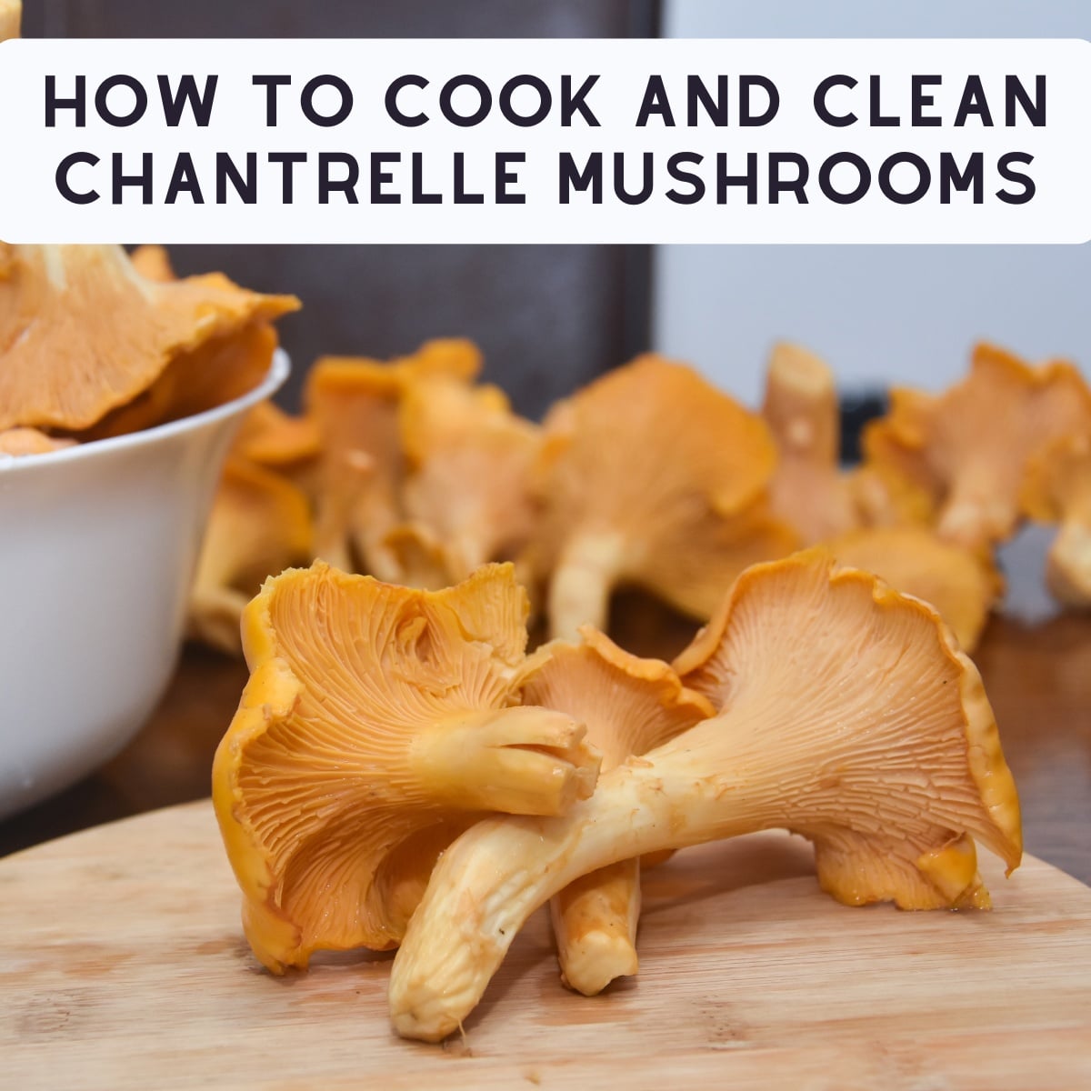 The Complete Guide to Cleaning Wild Mushrooms - Mushroom Appreciation