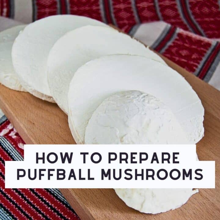 Fool's Funnel: Identification of a Deadly Beauty - Mushroom Appreciation