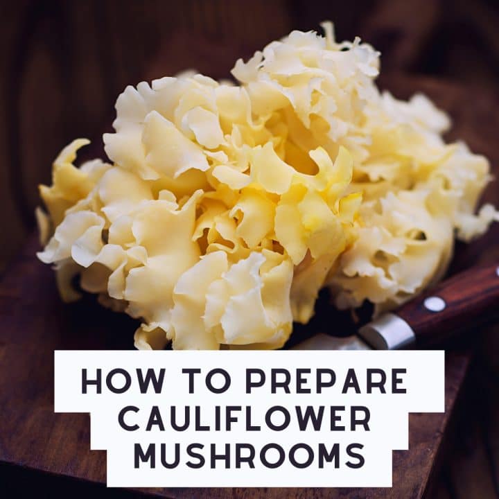 Cauliflower Mushrooms: Identification, Foraging, and Cooking - Mushroom ...